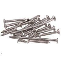 China 304 Stainless Steel M8 Flat Head Self-Tapping Screws 3-100mm Length Phillips Drive for sale