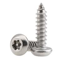 China 304 Stainless Steel Tamper Resistant Torx Rounded Head Self Tapping Screws for sale