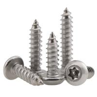 China 304 Stainless Steel Tamper Resistant Torx Rounded Head Self Tapping Screws for sale