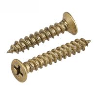 China Brass Phillips Flat Head Self Tapping Screws M3 M5 6-40mm Cold Forging Industrial for sale