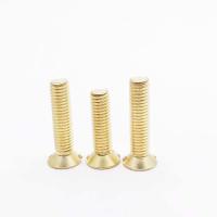 China M8 Brass Wood Screws Flat Head Slotted 4-40mm Length for Outdoor Light Fixtures and Lamps for sale