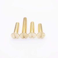 China M8 Brass Wood Screws Flat Head Slotted 4-40mm Length for Outdoor Light Fixtures and Lamps for sale