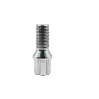 China Chrome Lugs 6 Spline Head Tuner Wheel Bolts M10x1.5 Stainless Steel 304 for Car for sale