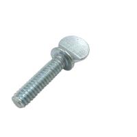 China Stainless Steel Thumb Screw Bolts Flat Head M3-M16 Metric Thread Fasteners for sale
