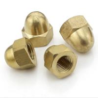 China Decorative Brass Cap Stainless Steel Nuts M3-M20 Size Range for Mining Equipment and Industrial Applications for sale