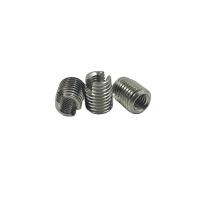 China Self-Tapping Stainless Steel Thread Insert DIN7983 M3-M24 with Wall Holes for Industrial Fastening for sale
