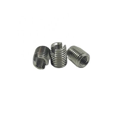 China Self-Tapping Stainless Steel Thread Insert DIN7983 M3-M24 with Wall Holes for Industrial Fastening for sale
