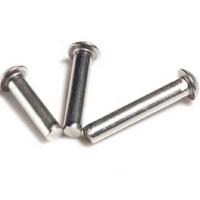 China 304 Stainless Steel Round Head Solid Rivets M2-M6 Size Range 3-55mm ROHS Compliant Industrial Fasteners for sale