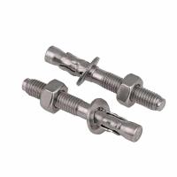 China Concrete Through Wedge Anchor Bolt M20 ASTM Wall Anchor Bolt for sale