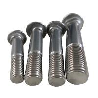 China UNC Stainless Steel Head Bolts 304 316 Oval Neck M12 for Railway Track Fasteners for sale