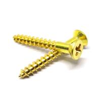 China Brass Self Tapping Screws M4 M5 M6 304 Stainless Steel Drywall Screws ISO Certified for sale