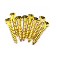 China Brass Self Tapping Screws M4 M5 M6 304 Stainless Steel Drywall Screws ISO Certified for sale