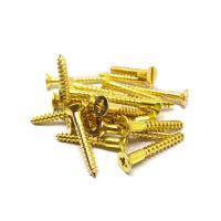 China Brass Self Tapping Screws M4 M5 M6 304 Stainless Steel Drywall Screws ISO Certified for sale