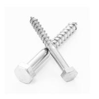China DIN571 Self Tapping Screw M6-M16 25-280mm Stainless Steel Hexagon Head Wood Screw ANSI ASME Standard for sale