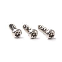China ST6.3 25mm Pan Head Torx Self Tapping Thread Anti Theft Tapping Screw for sale