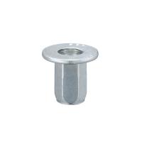 China Hex Head High Strength Nut Blind Rivets with Stainless Steel Mandrel - Alloy Steel, 304 & 316 Stainless Options - ISO/DIN Certified for sale