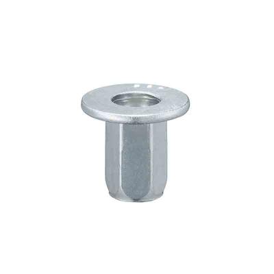 China Hex Head High Strength Nut Blind Rivets with Stainless Steel Mandrel - Alloy Steel, 304 & 316 Stainless Options - ISO/DIN Certified for sale