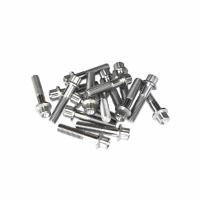 China 12 Point Flange Head Titanium Wheel Hub Bolt Metric Thread or Inch Thread for sale