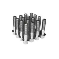 China 12 Point Flange Head Titanium Wheel Hub Bolt Metric Thread or Inch Thread for sale