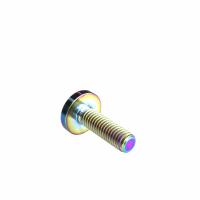 China M8x30 GR5 Titanium Rotor Bolt Stainless Steel Hex Head Bolts Custom Length for sale