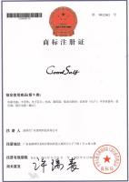 China GoodSelf for sale
