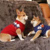 China Wholesale Warm Knitted Dog Sweater - Elegant Gentleman Style Windproof Pet Knitwear for Winter for sale