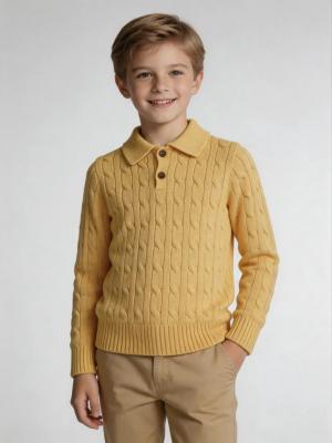 China Cotton Fitted Soft Polo Collar Sweater - Computer Knitted Pullover for Women for sale
