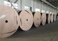 China PVC Coated Stainless Steel Tubing Coil ASTM A269 TP304 316L with BA Surface for sale