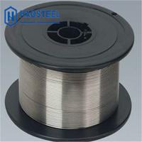 China 304 316L 410 0.07mm 0.13mm 1mm 2mm Soft EN/AISI Stainless Steel Wire for sale