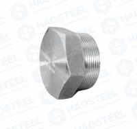China ANSI Industrial Pipe Forged Socket Plug ANSI B16.9 Equal Shape for sale