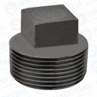 China ANSI Industrial Pipe Forged Socket Plug ANSI B16.9 Equal Shape for sale