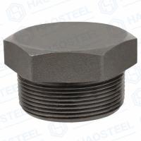 China ANSI Industrial Pipe Forged Socket Plug ANSI B16.9 Equal Shape for sale