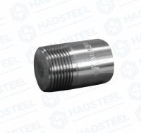 China ANSI Industrial Pipe Forged Socket Plug ANSI B16.9 Equal Shape for sale