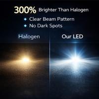China New 130W 13000LM H11 Car LED Headlight Bulbs 6500K Auto Headlamp Long Lifespan 12-24V Universal Fitment OEM/ODM for sale