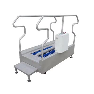 China Boot and Shoe Cleaning Machine with Bristles Hygiene Automatic Boots Washer Scrubber for Industrial for sale