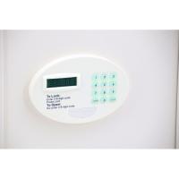 China Electronic Lock Hotel Wall Safe Deposit Box H200*W310*D200mm for Hotels and Businesses for sale