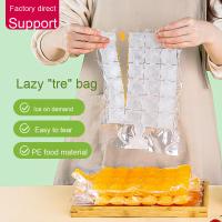 China Disposable Self-Sealing PE Ice Trays Food-Grade Passion Fruit Ice Making Bags 1.5 Gallon for Homemade for sale
