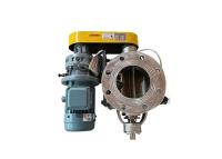 China Customized Rotary Feeder Valve 50/60Hz Frequency and 80-700mm Diameter Options for sale