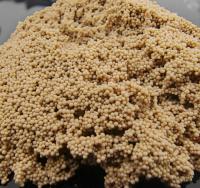 China C19H14O5S Ion Exchange Resin Sewage Treatment Chemicals CAS 39339-85-0 1.5 g/cm3 for sale