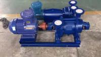 China Durable High-Efficiency Energy-Saving Water Ring Vacuum Pump for Vacuum Condensers and Beverage Bottling for sale