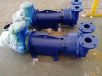 China Durable High-Efficiency Energy-Saving Water Ring Vacuum Pump for Vacuum Condensers and Beverage Bottling for sale