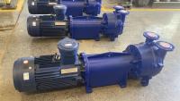 China Durable High-Efficiency Energy-Saving Water Ring Vacuum Pump for Vacuum Condensers and Beverage Bottling for sale