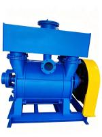 China Water Cooled Water Ring Vacuum Pump with Up to 95 kPa Vacuum Pressure and 210 to 3000 m³/h Capacity Range for sale