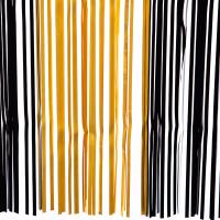 China Gold Black Foil Curtain Modern Style Tassel Rain Curtain In Fun Birthday Party Decoration for sale