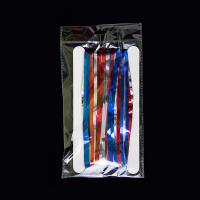 China ISO9001 Colorful Creative Plastic Party Fringe Curtain Customization for Festive Party Ambiance for sale