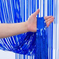 China PET Laser Tinsel Foil Fringe Curtain Background Holiday Decorations Foil Fringe Doorway Curtain for sale