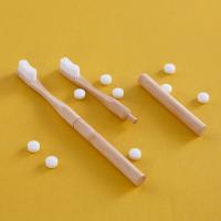 China OEM Dental Toothpaste Tablets Natural Teeth Whitening Plastic Free Eco Friendly for sale