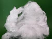 China Solid Recycled Polyester Staple Fiber 2D×51mm White Color for sale