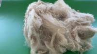China Soft Microfiber Polyester Staple Fiber Recycled 1.2D*32mm for Filling for sale