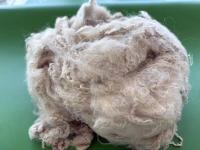 China Soft Microfiber Polyester Staple Fiber Recycled 1.2D*32mm for Filling for sale